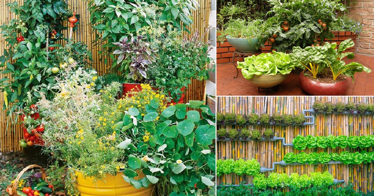 22 Stunning Container Vegetable Garden Design Ideas & Tips